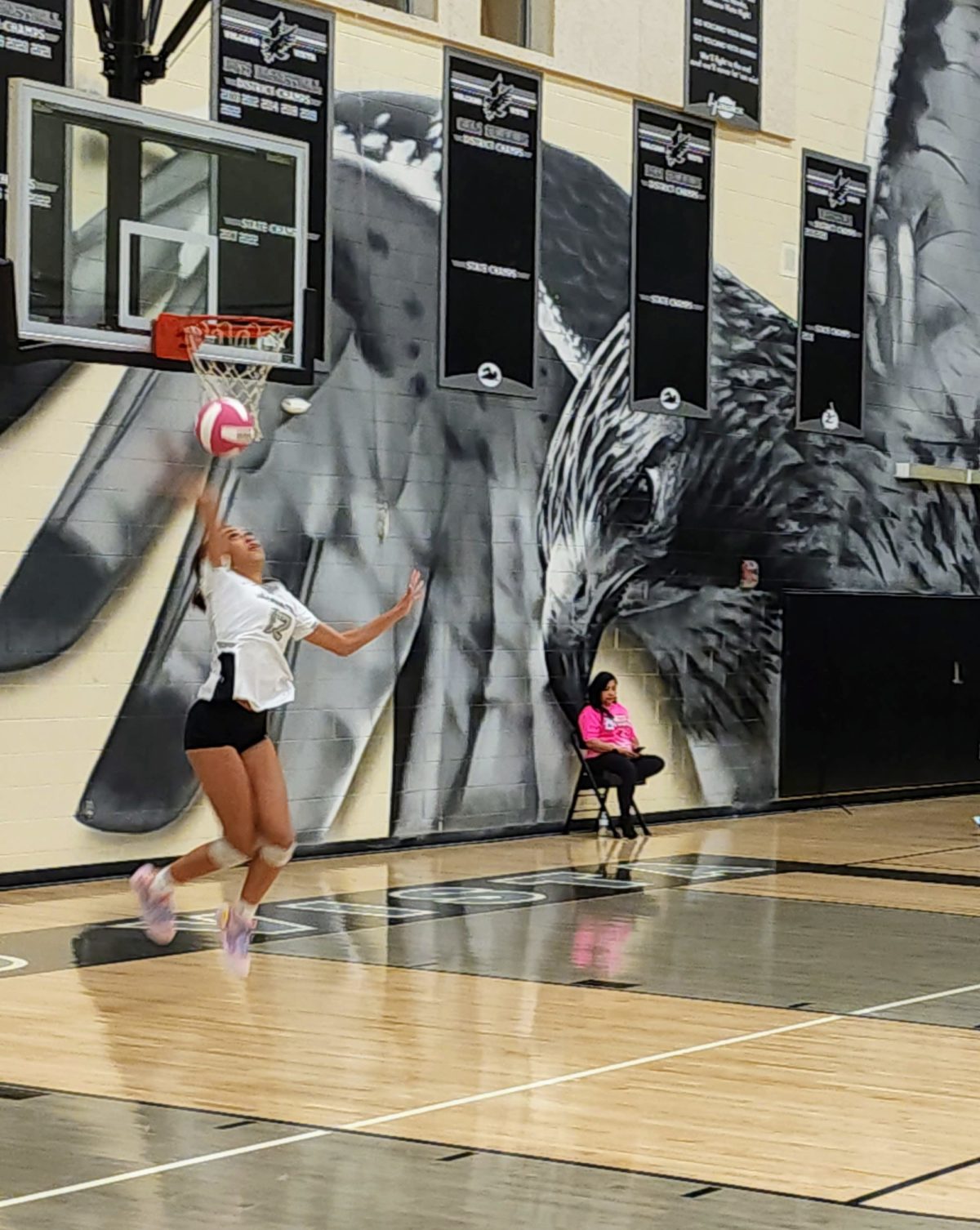 Volcano Vista volleyball gets a tough test vs. La Cueva
