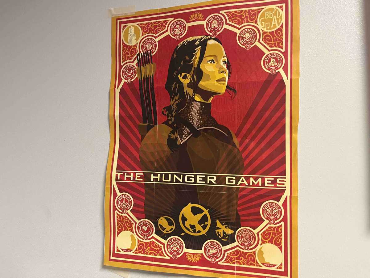 Hunger Games Escape Room at Cherry Hills Library requires teamwork and ...